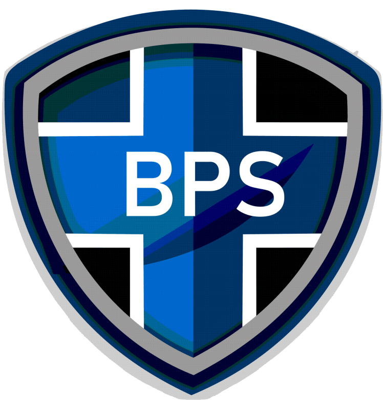 BPS Analytics – A Leap Towards Success